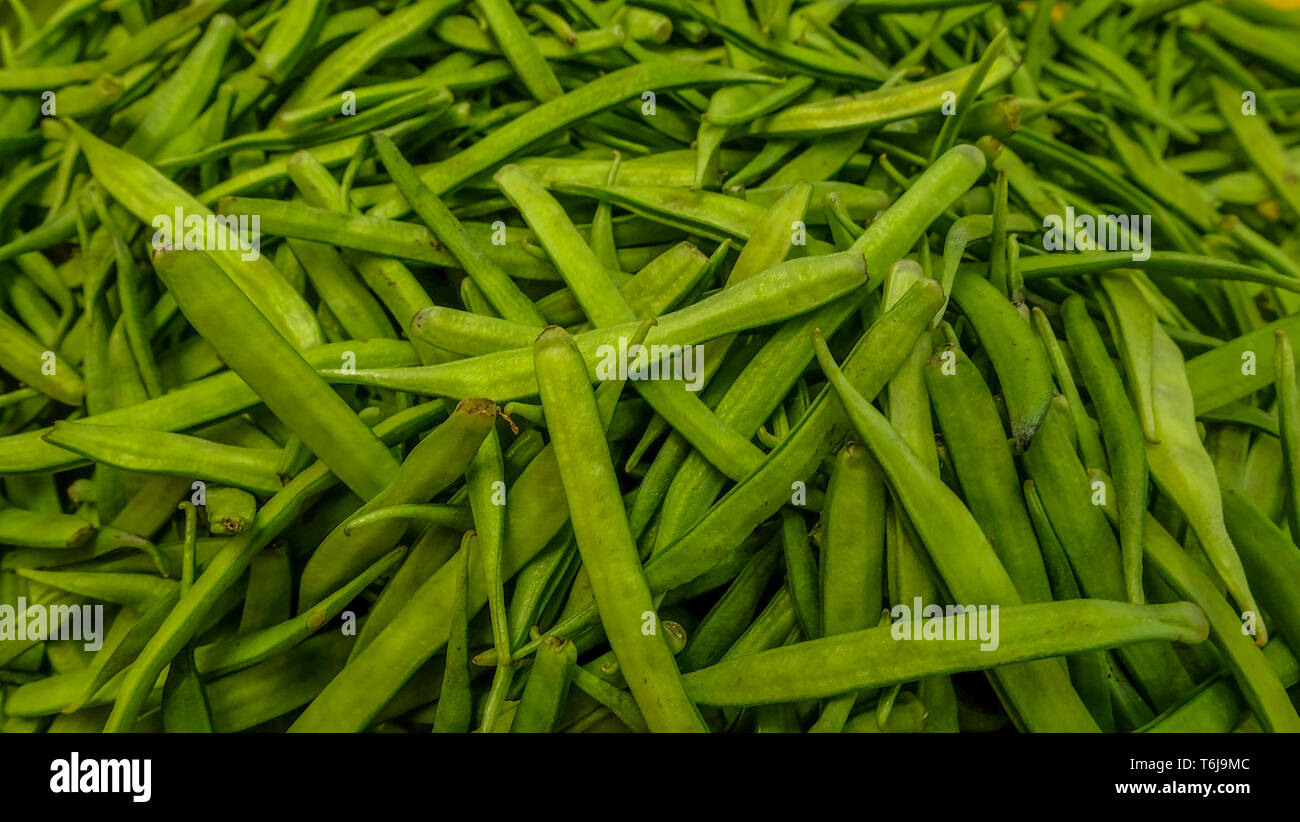 Guar or Cluster Bean Also Known as Gavar, Guwar or Guvar Bean suitable ...