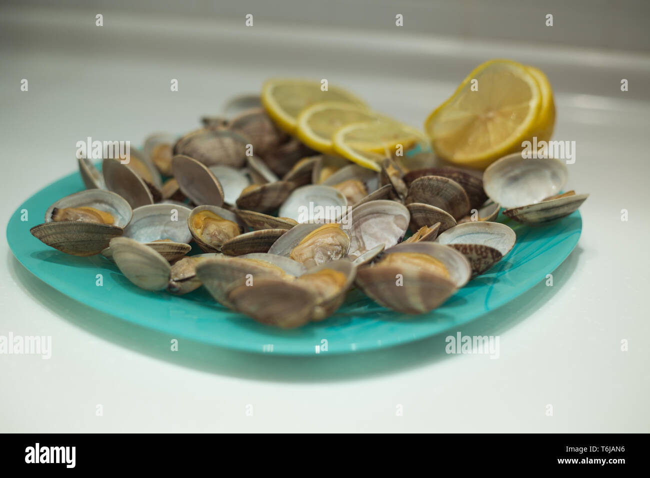 Hard clam hi-res stock photography and images - Alamy