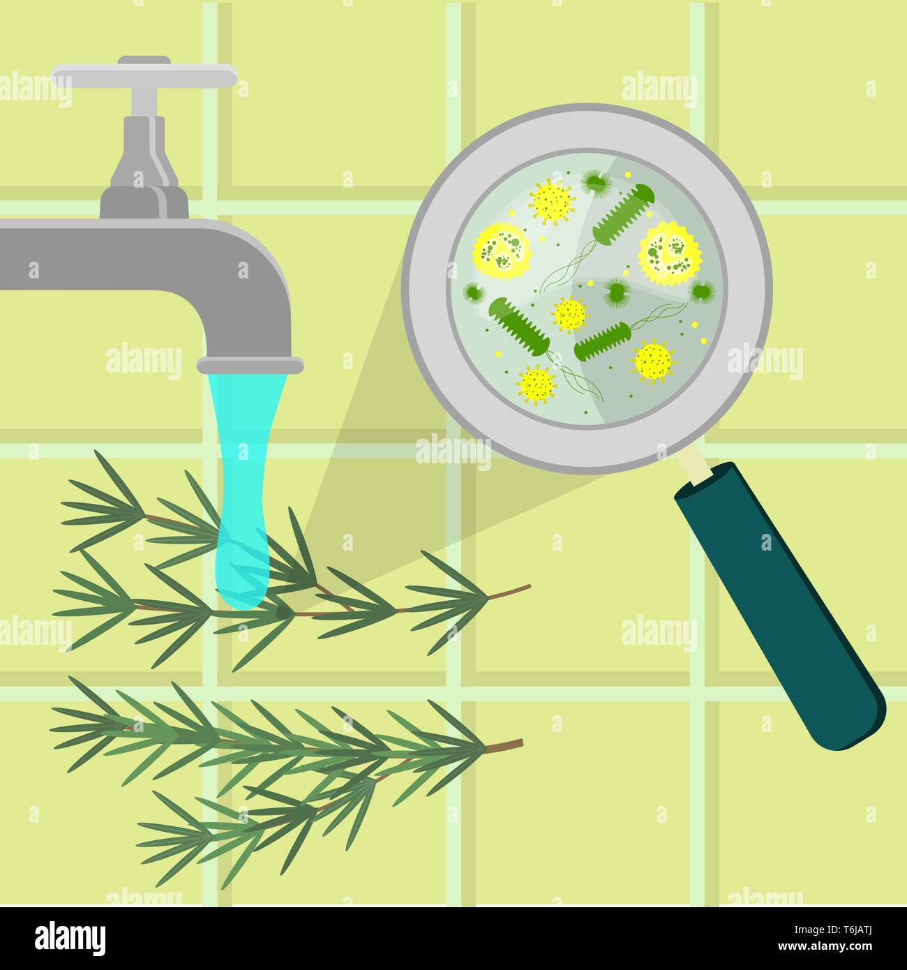 Contaminated rosemary branch being sanitized, cleaned and washed in a ...