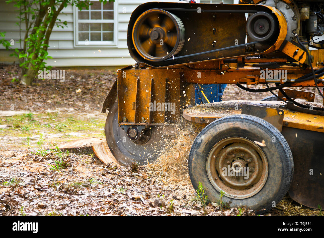 A Stump Grinding Machine Removing a Stump from Cut Down Tree Stock ...