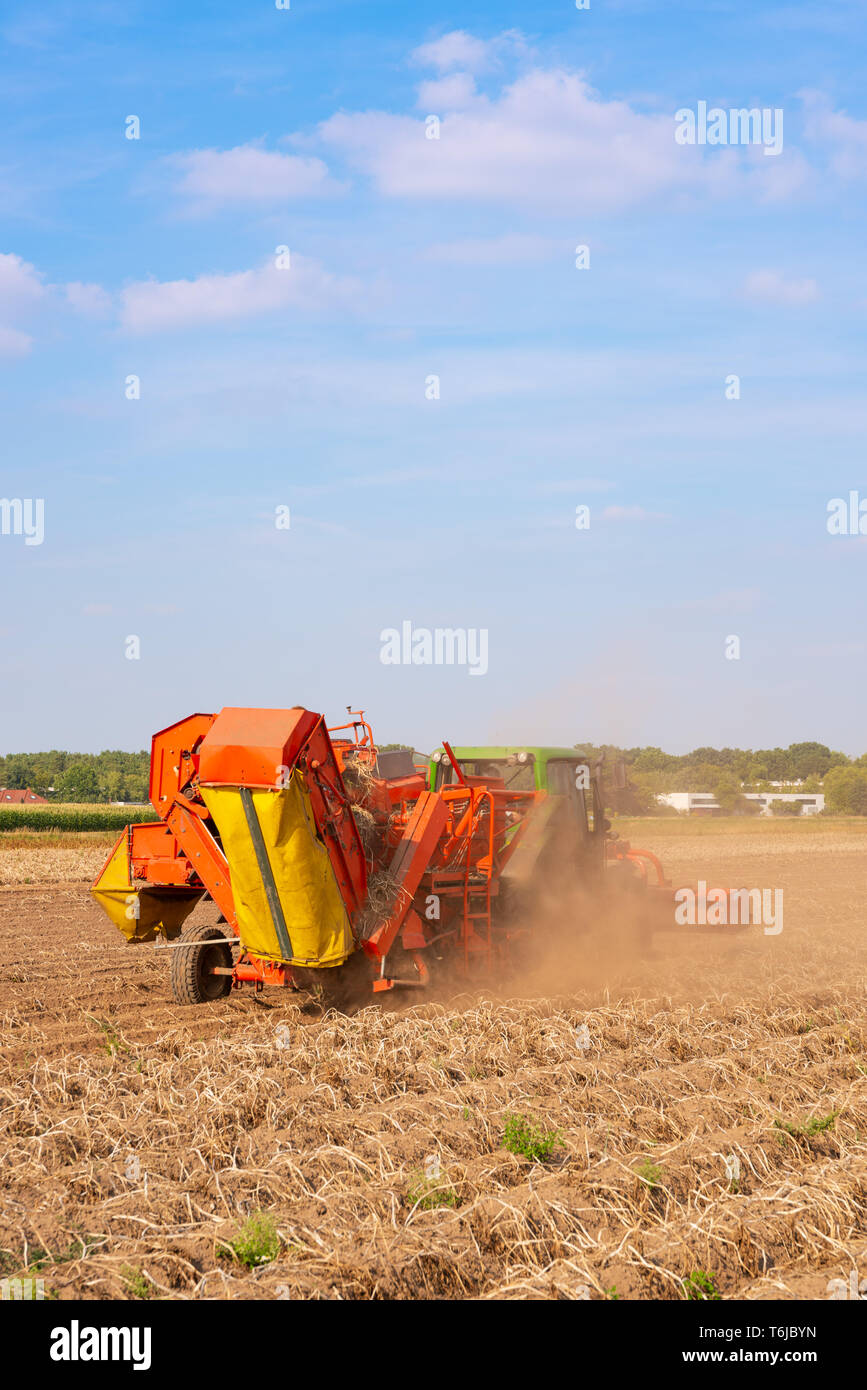 A modern machine potato harvest in autumn Stock Photo - Alamy