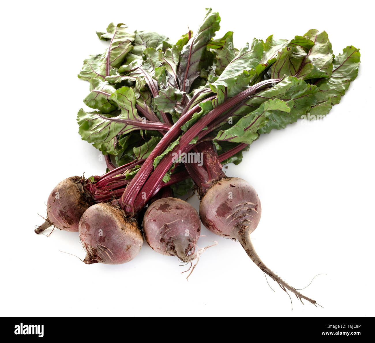 fresh beetroots in front of white background Stock Photo - Alamy