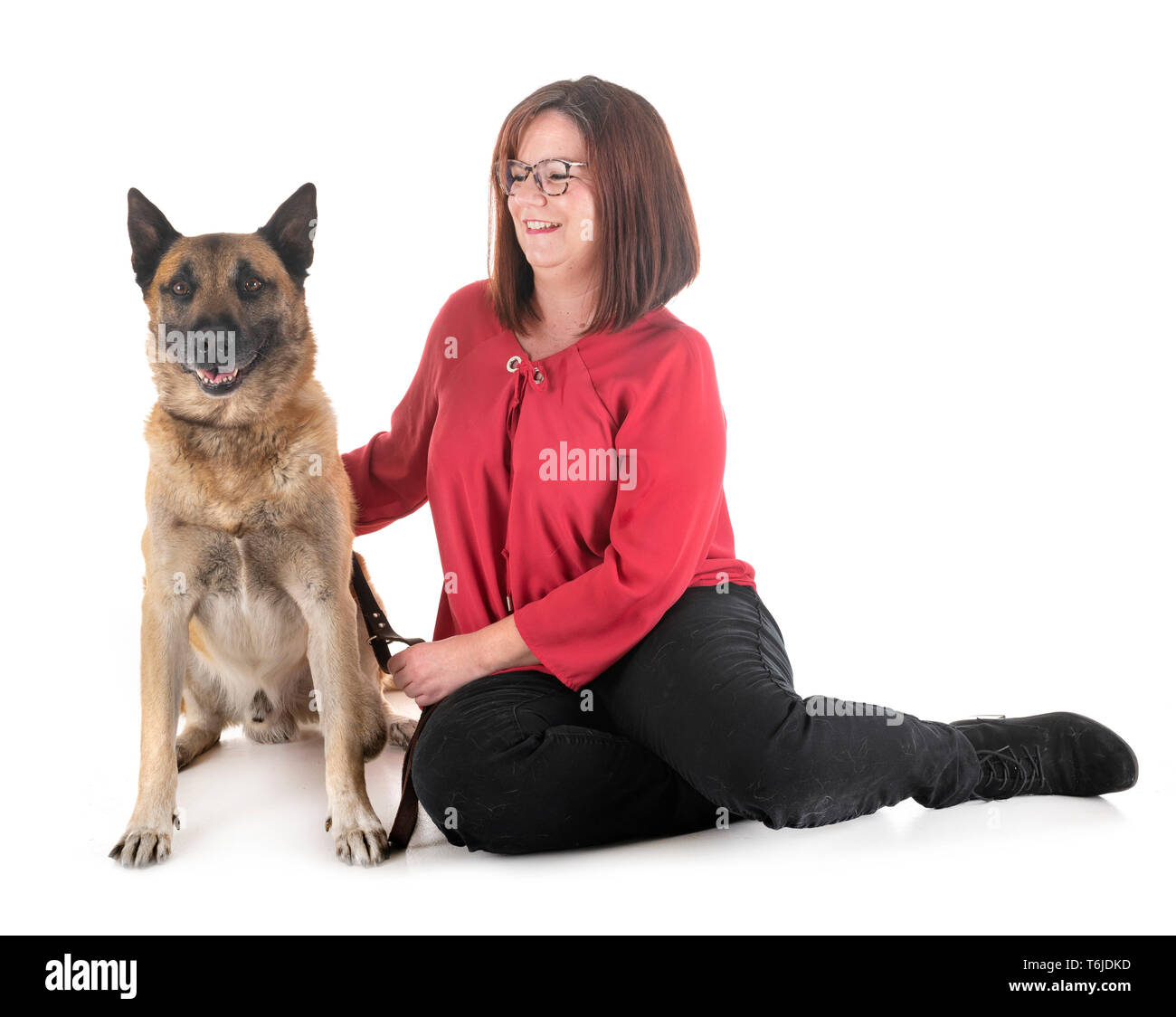 Senior malinois Cut Out Stock Images & Pictures - Alamy