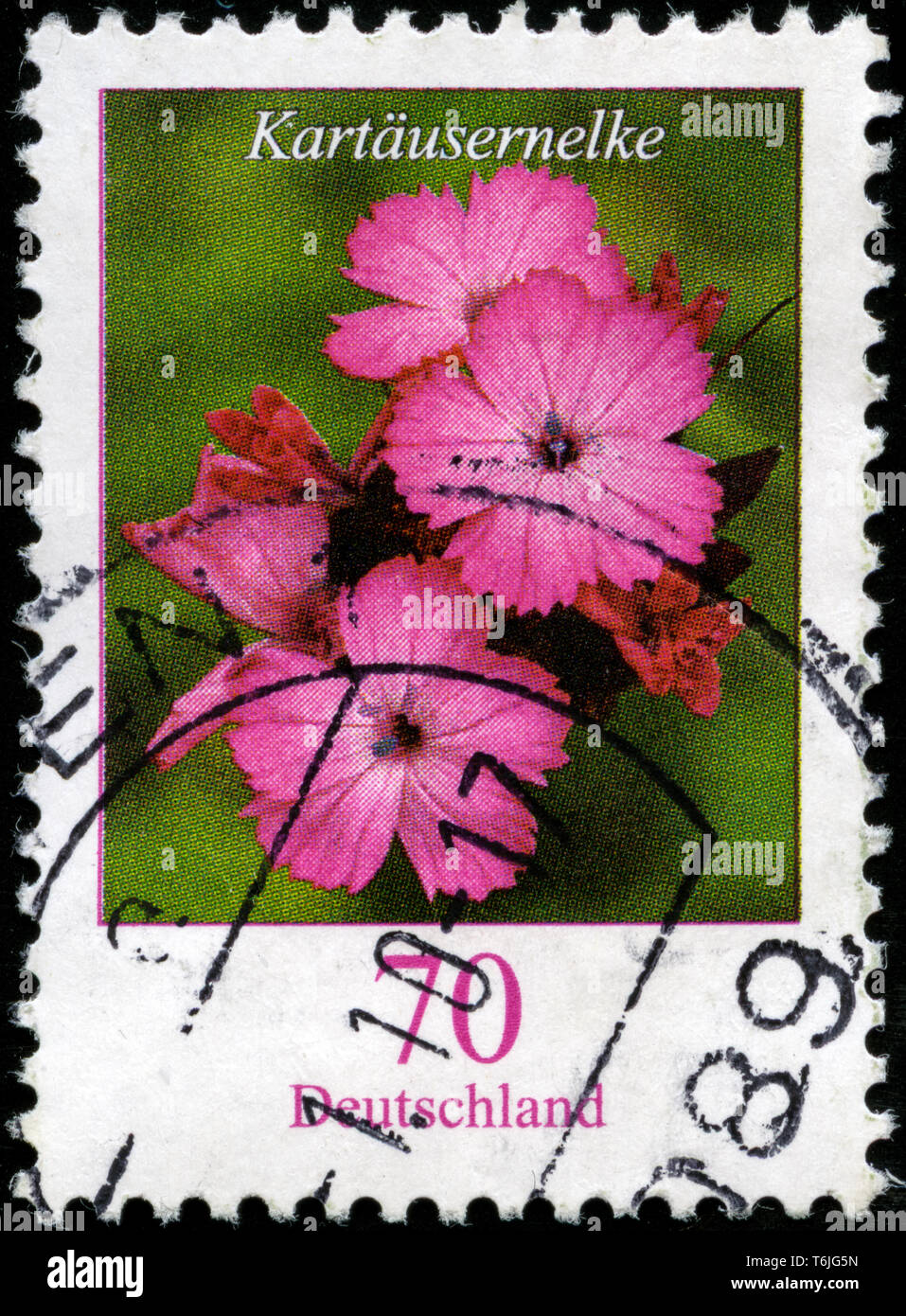 Postage stamp from the Federal Republic of Germany in the Flowers ...
