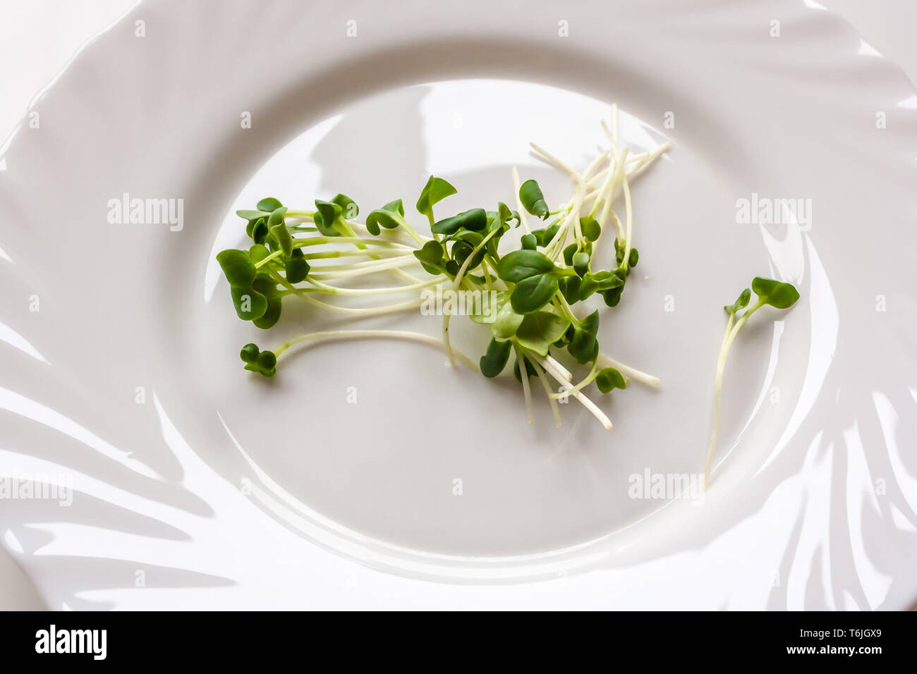 A pile of fresh radish sprouts or Kaiware Daikon on white dish. Vegan ...