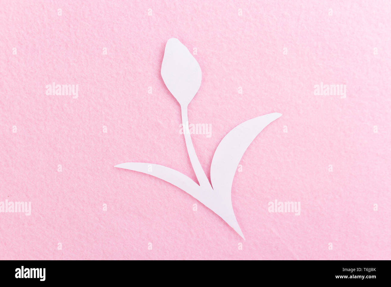 Tulip origami hi-res stock photography and images - Alamy