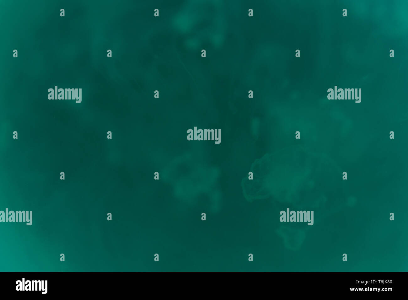 blurred blue background. abstract background. paint background Stock ...