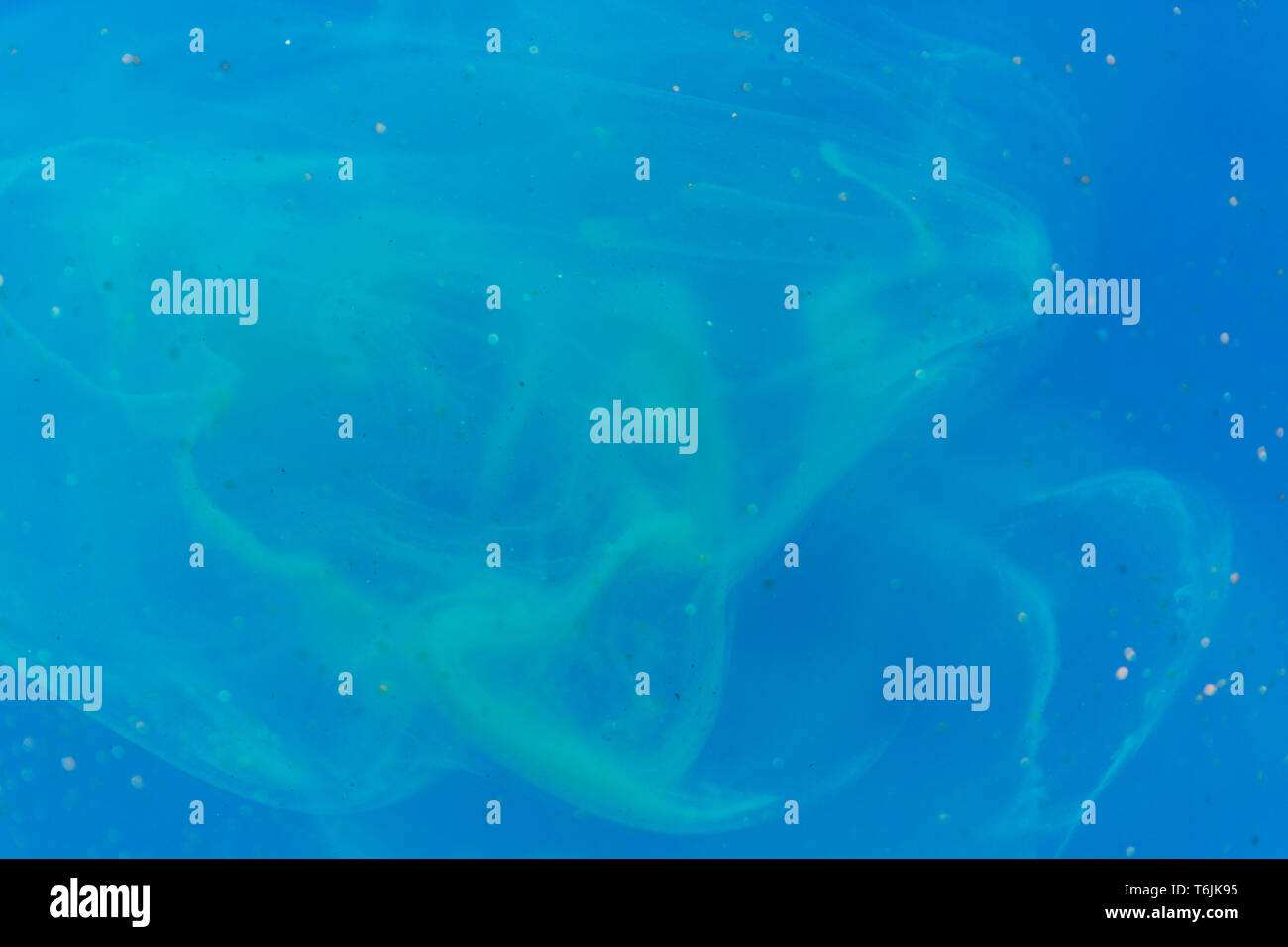 blurred blue background. abstract background. paint background Stock ...