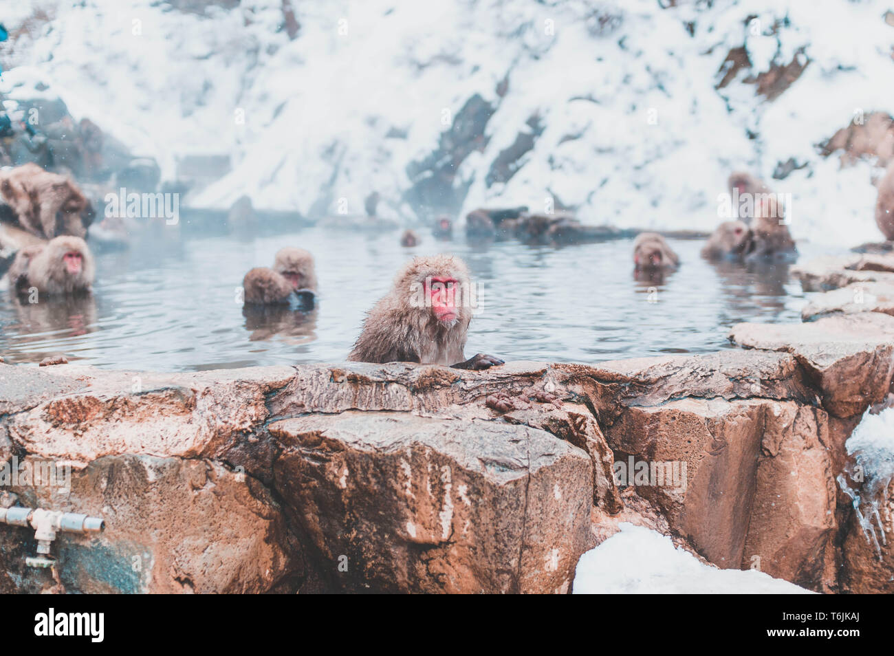 Hot tub snow hi-res stock photography and images - Alamy