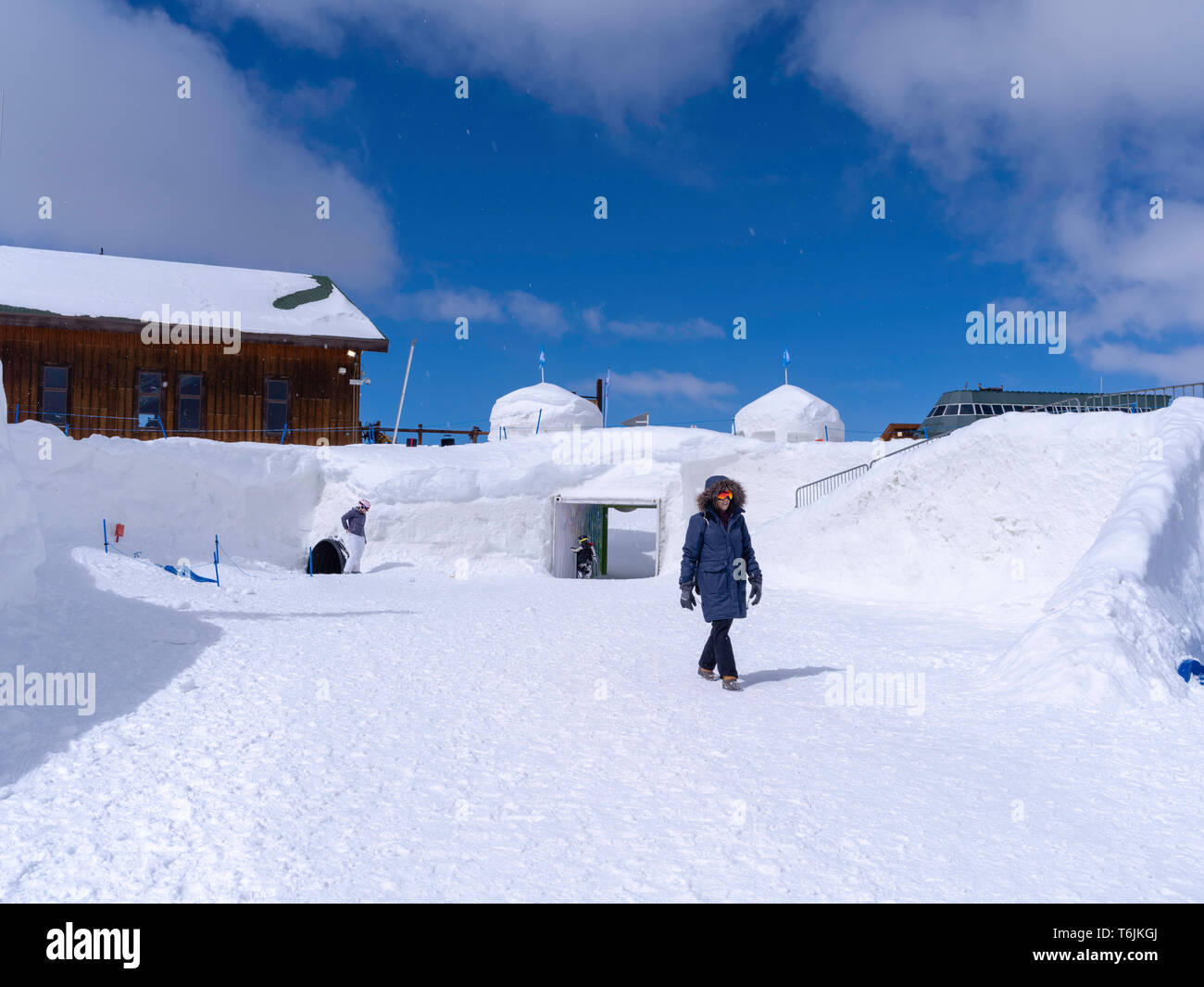 Children tree fort hi-res stock photography and images - Alamy