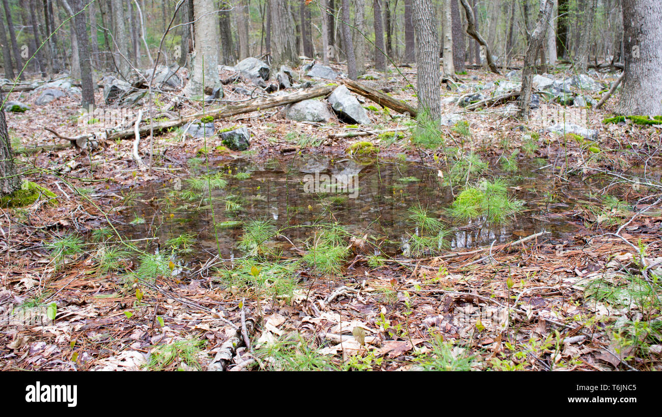 Water lifecycle hi-res stock photography and images - Alamy