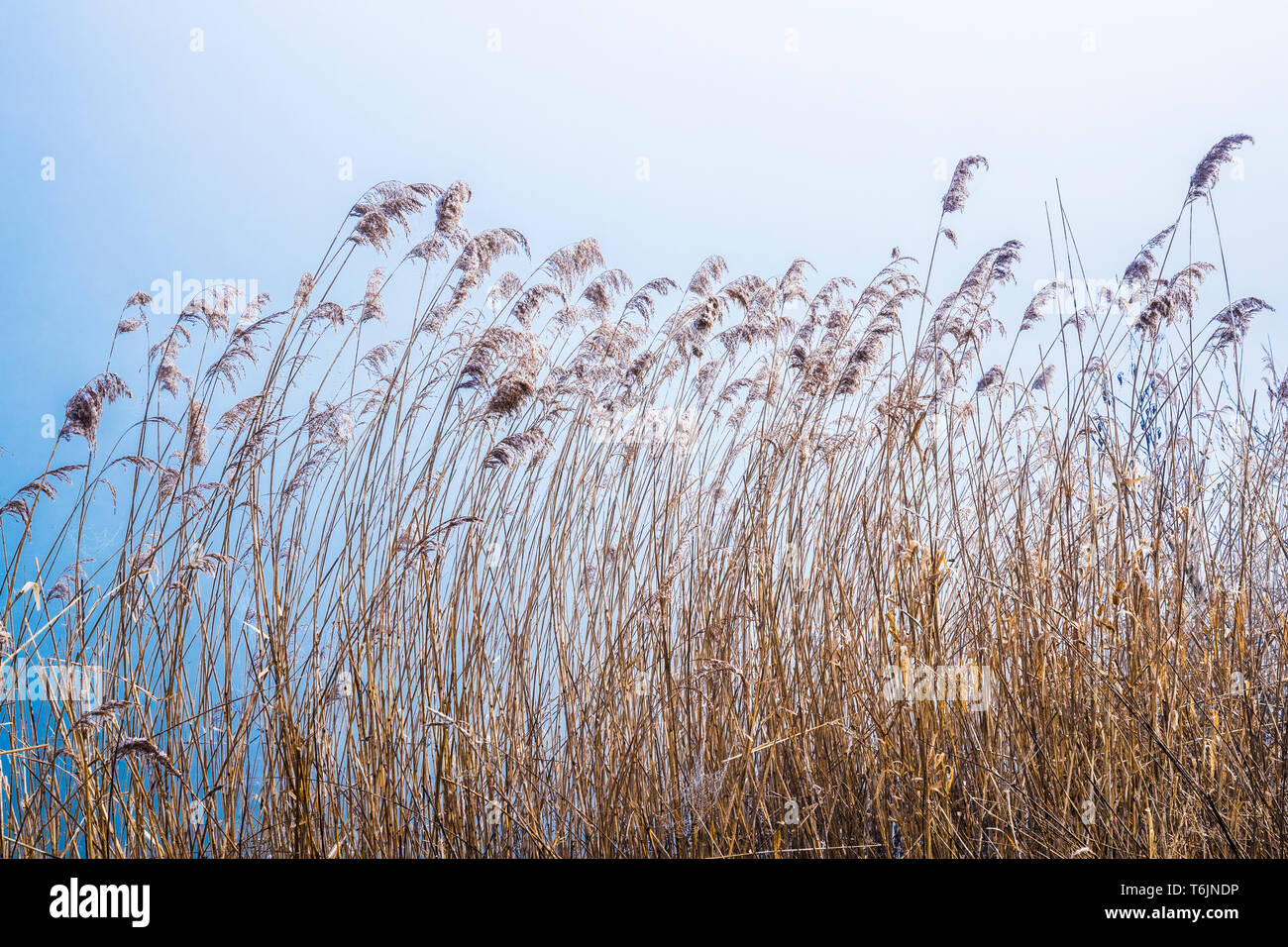 Waters water hi-res stock photography and images - Alamy