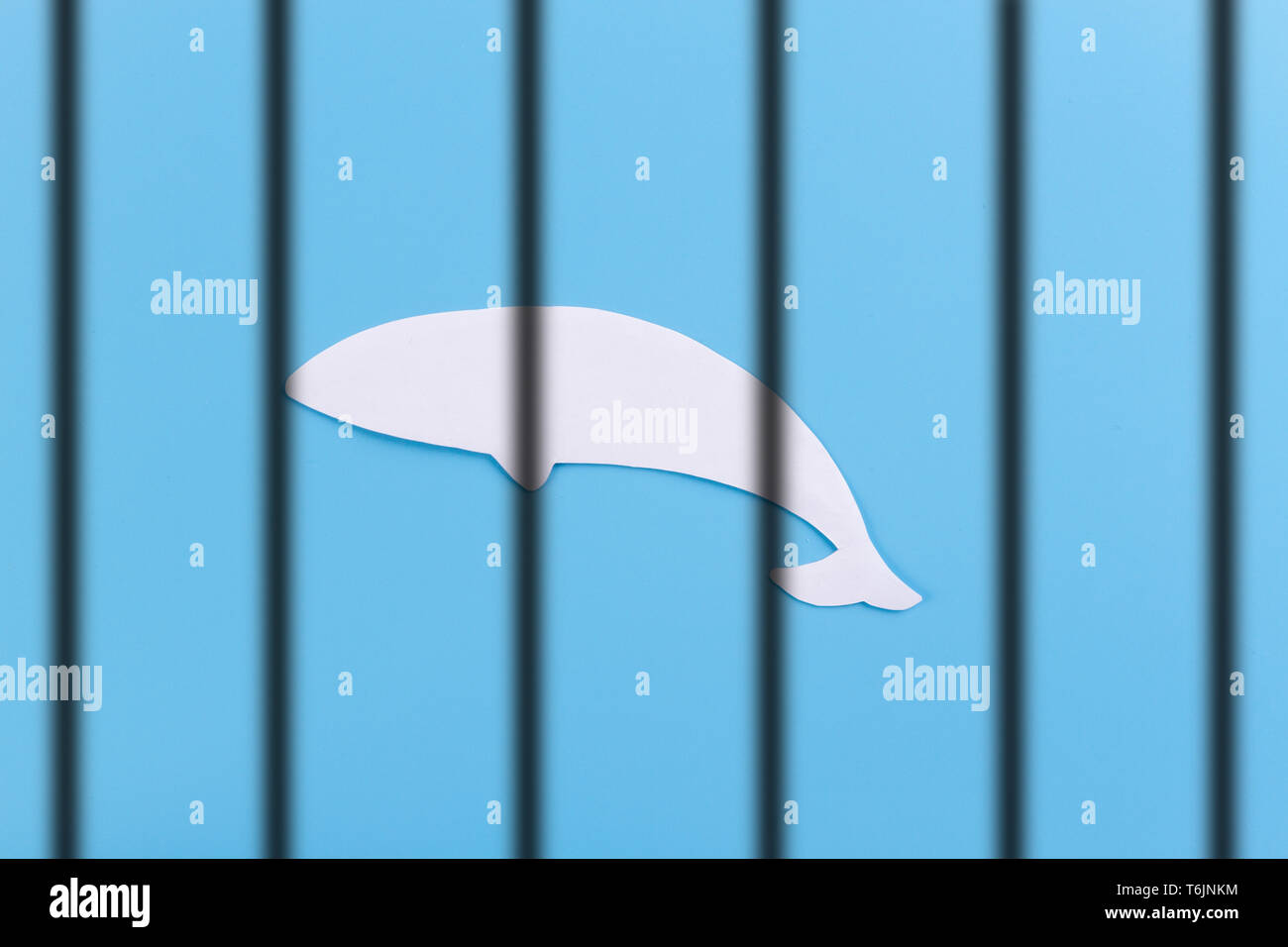 animals suffer in the zoo. concept image Stock Photo - Alamy