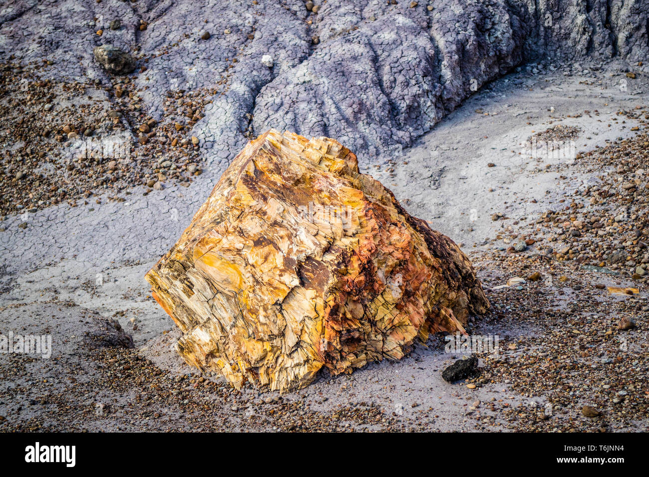 Petrified rocks in Petrified Forest National Park, Arizona Stock Photo ...