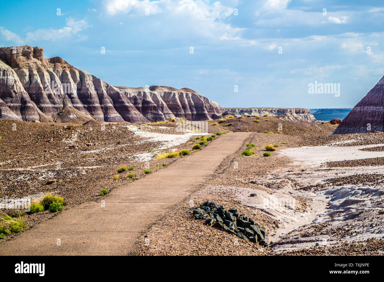 Petrified forest national park arizona hi-res stock photography and ...