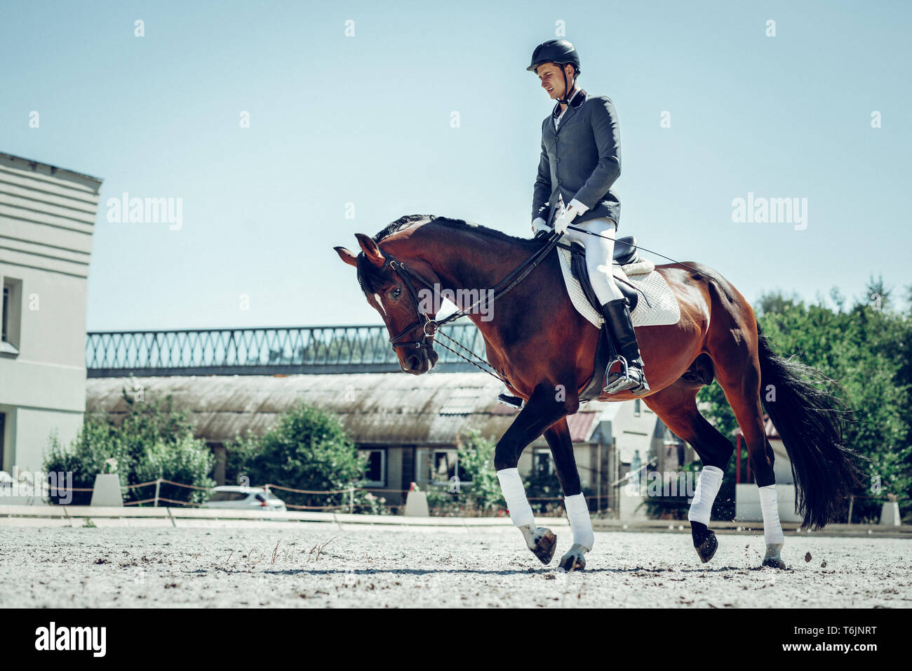 Nice handsome rider sitting on the horse Stock Photo - Alamy