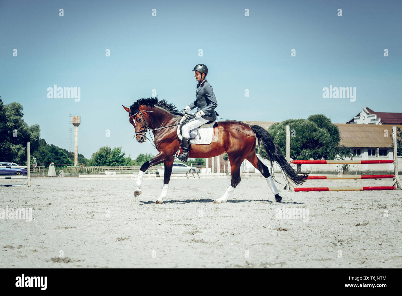 Good looking handsome man enjoying his horse ride Stock Photo - Alamy