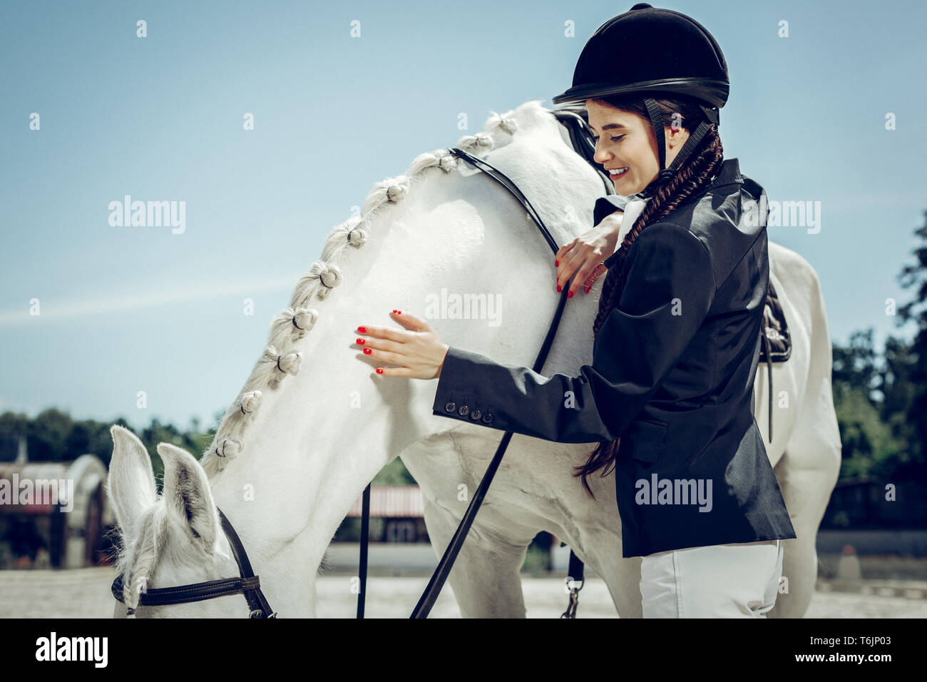 Joyful positive young woman caring about her horse Stock Photo - Alamy