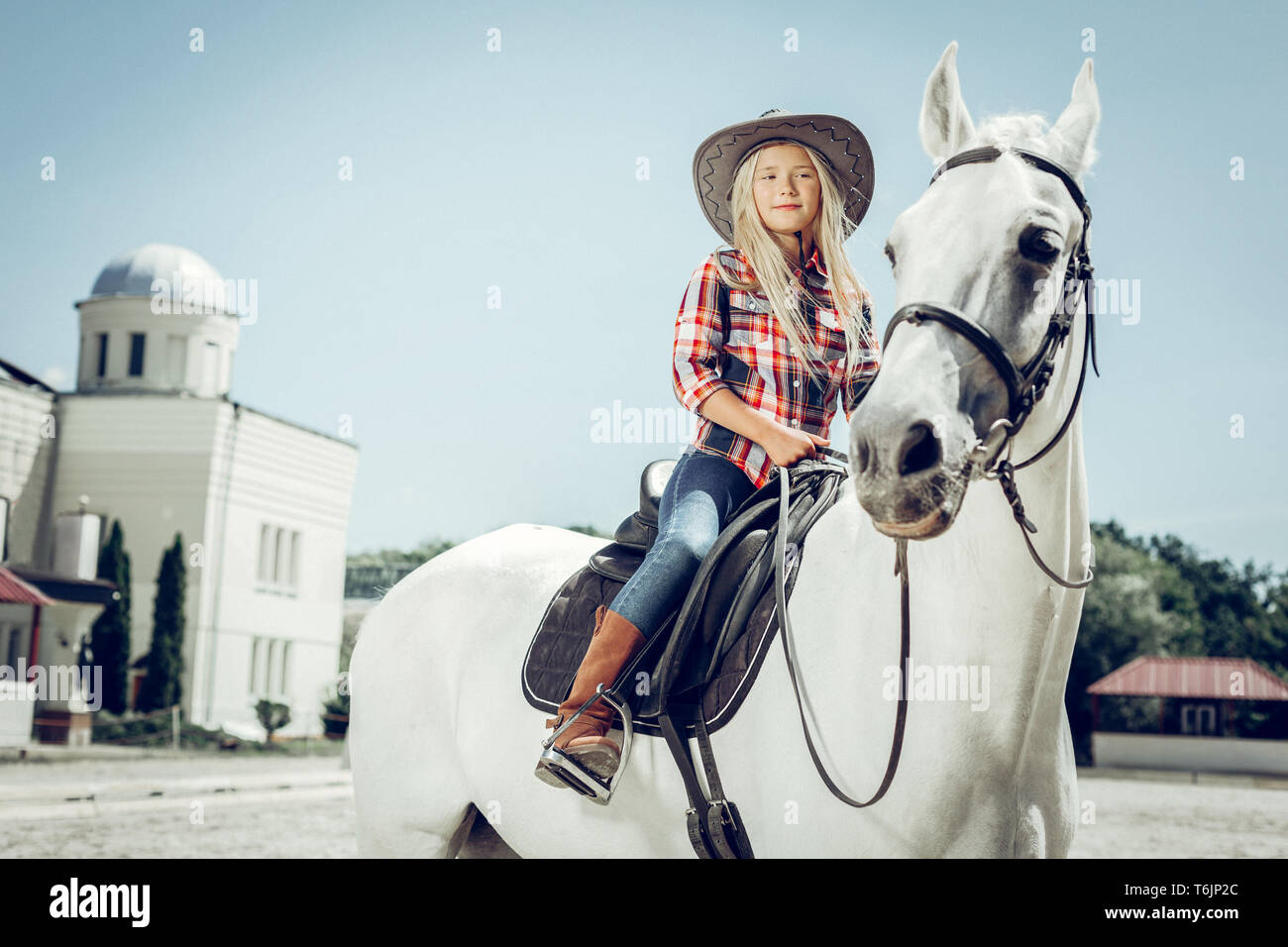 Beautiful blonde girl sitting on a white horse Stock Photo - Alamy