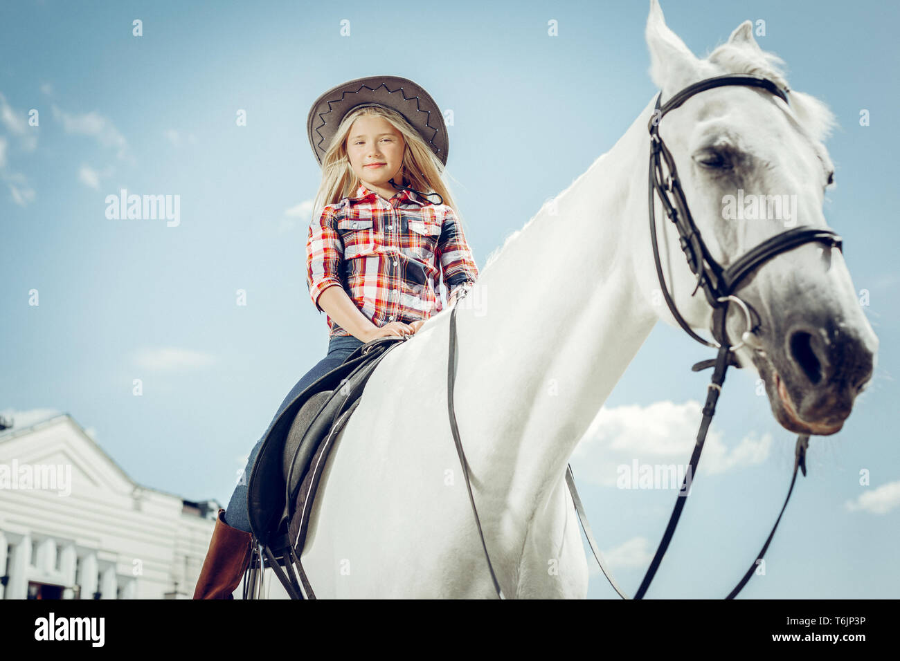 Happy confident horse rider hi-res stock photography and images - Alamy