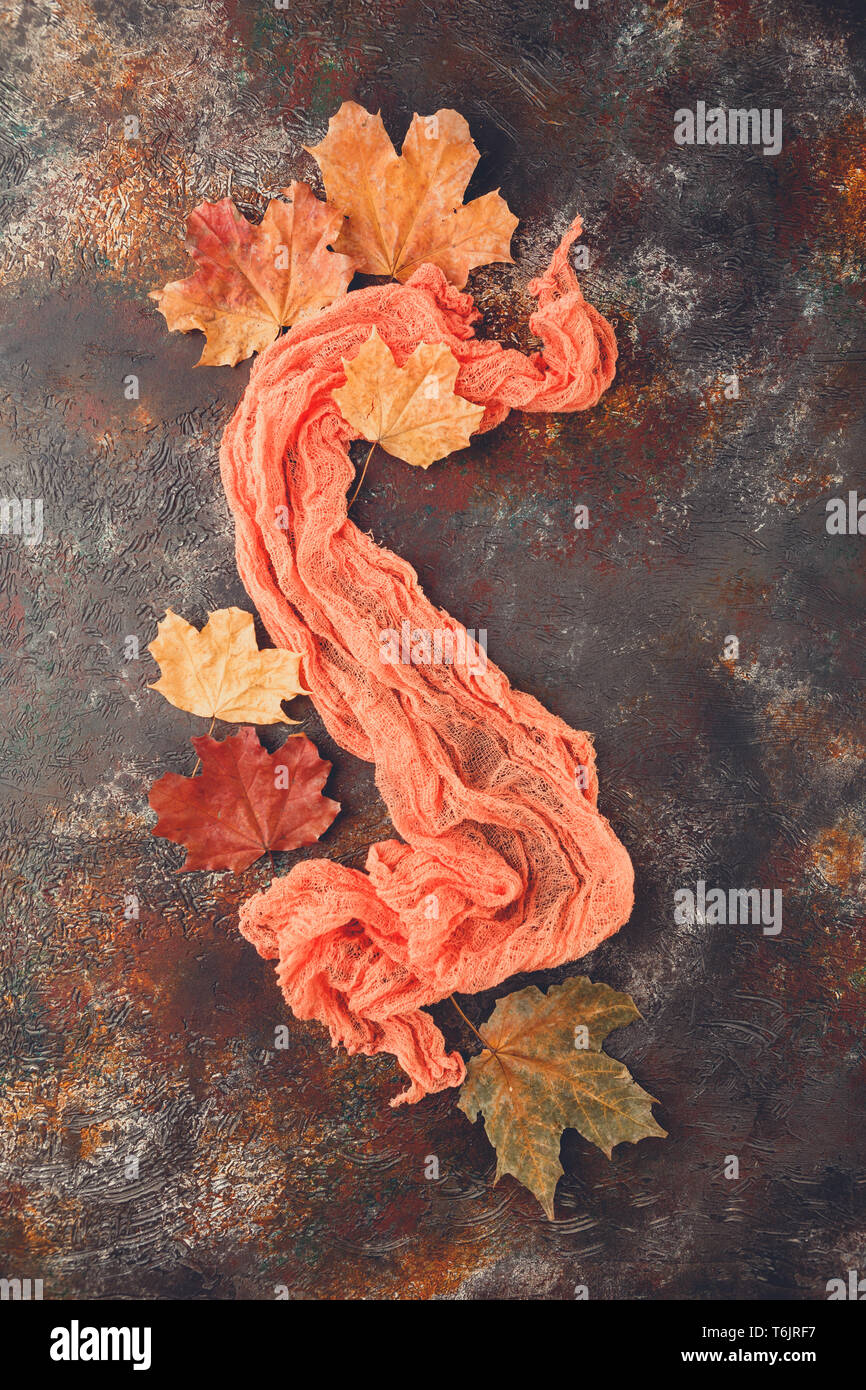 Dried cones and leaves hi-res stock photography and images - Alamy