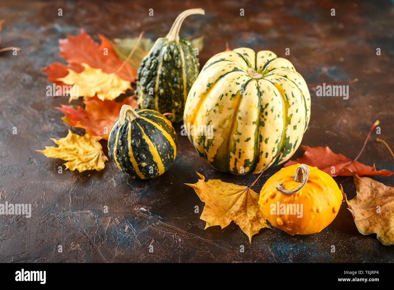 Small pumpkins hi-res stock photography and images - Alamy