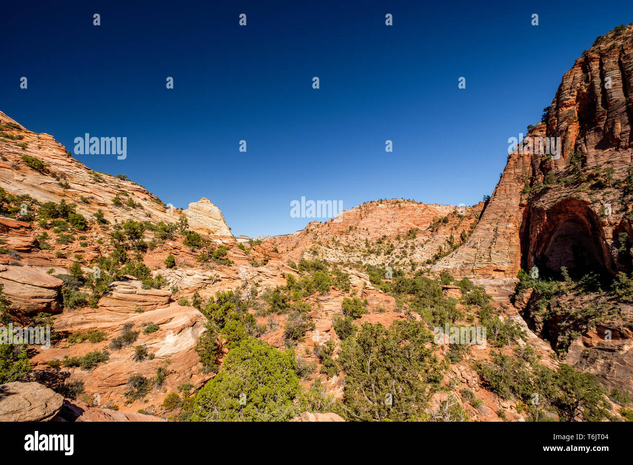 Landscape in Zion National Park Stock Photo - Alamy