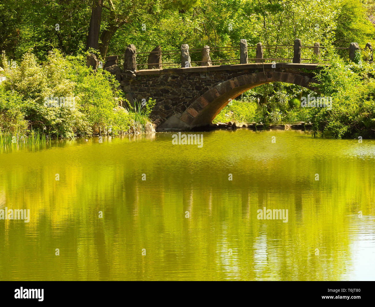 Stone bridge over a creek Stock Photo - Alamy