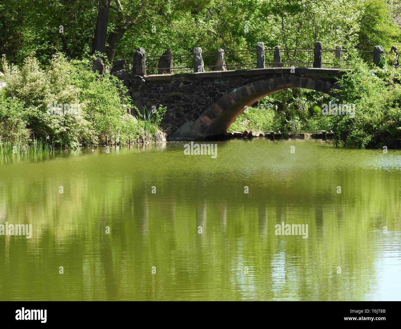 Stone bridge over a creek Stock Photo - Alamy