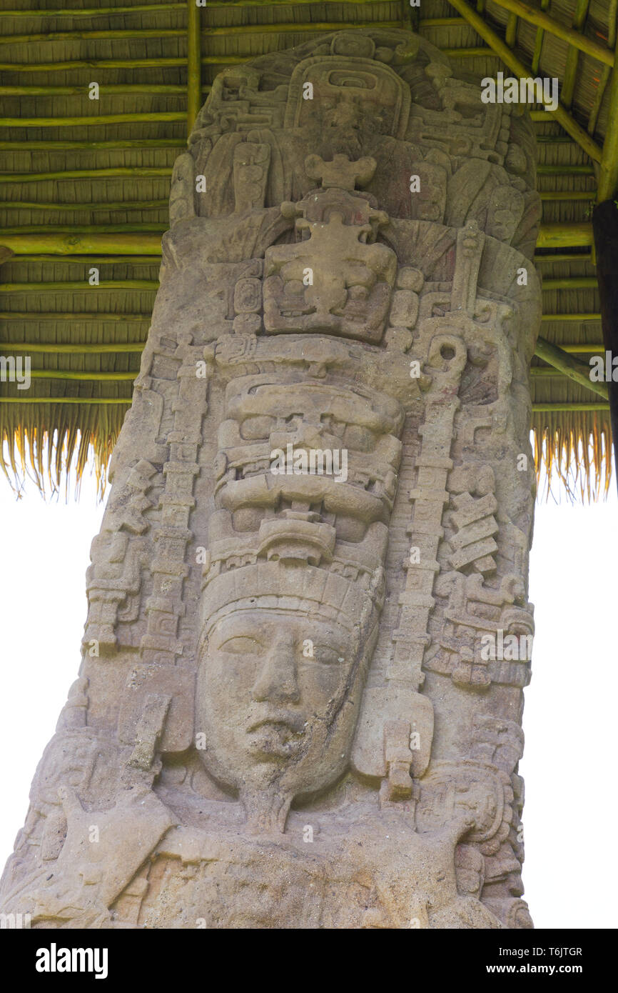 Tiliw hi-res stock photography and images - Alamy