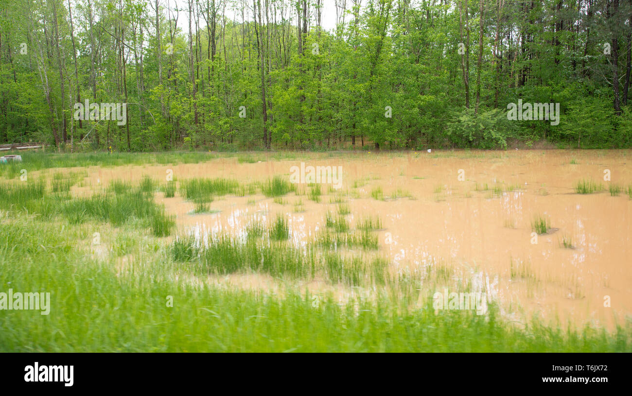 Flooding in park from hi-res stock photography and images - Alamy