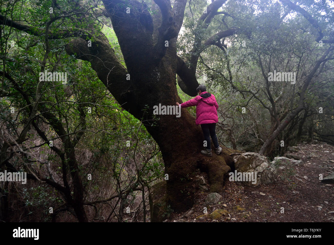 Figu hi-res stock photography and images - Alamy