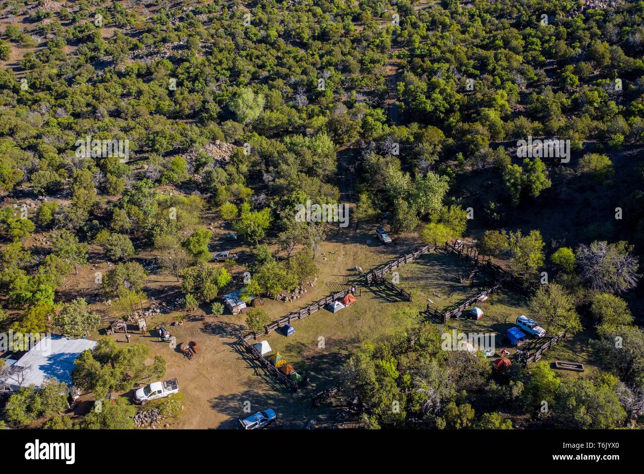 La madera de los arboles hi-res stock photography and images - Alamy