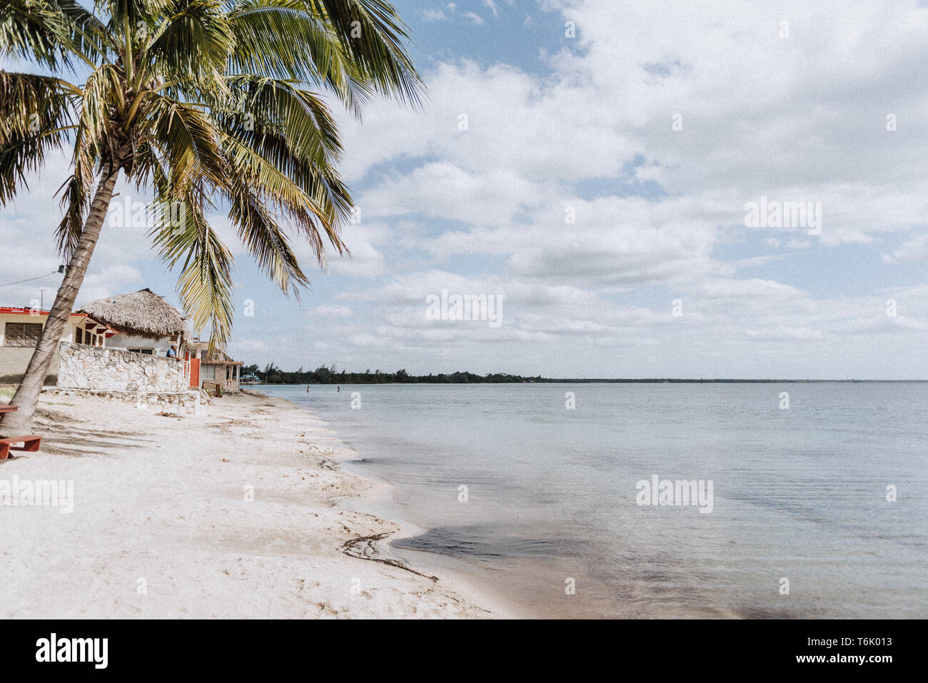 tropical beach in Cuba Stock Photo - Alamy
