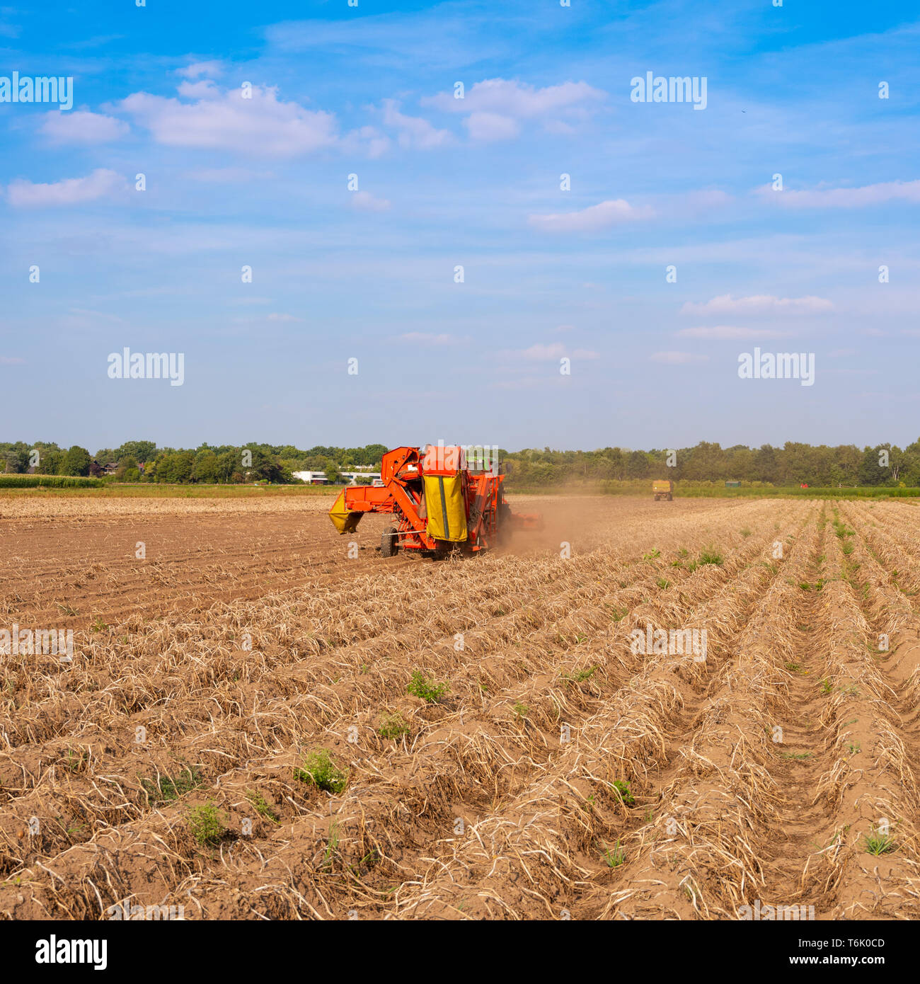 Modern machine potato harvest hi-res stock photography and images - Alamy