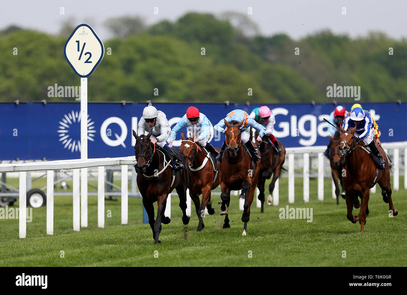 Dee ex bee hi-res stock photography and images - Alamy