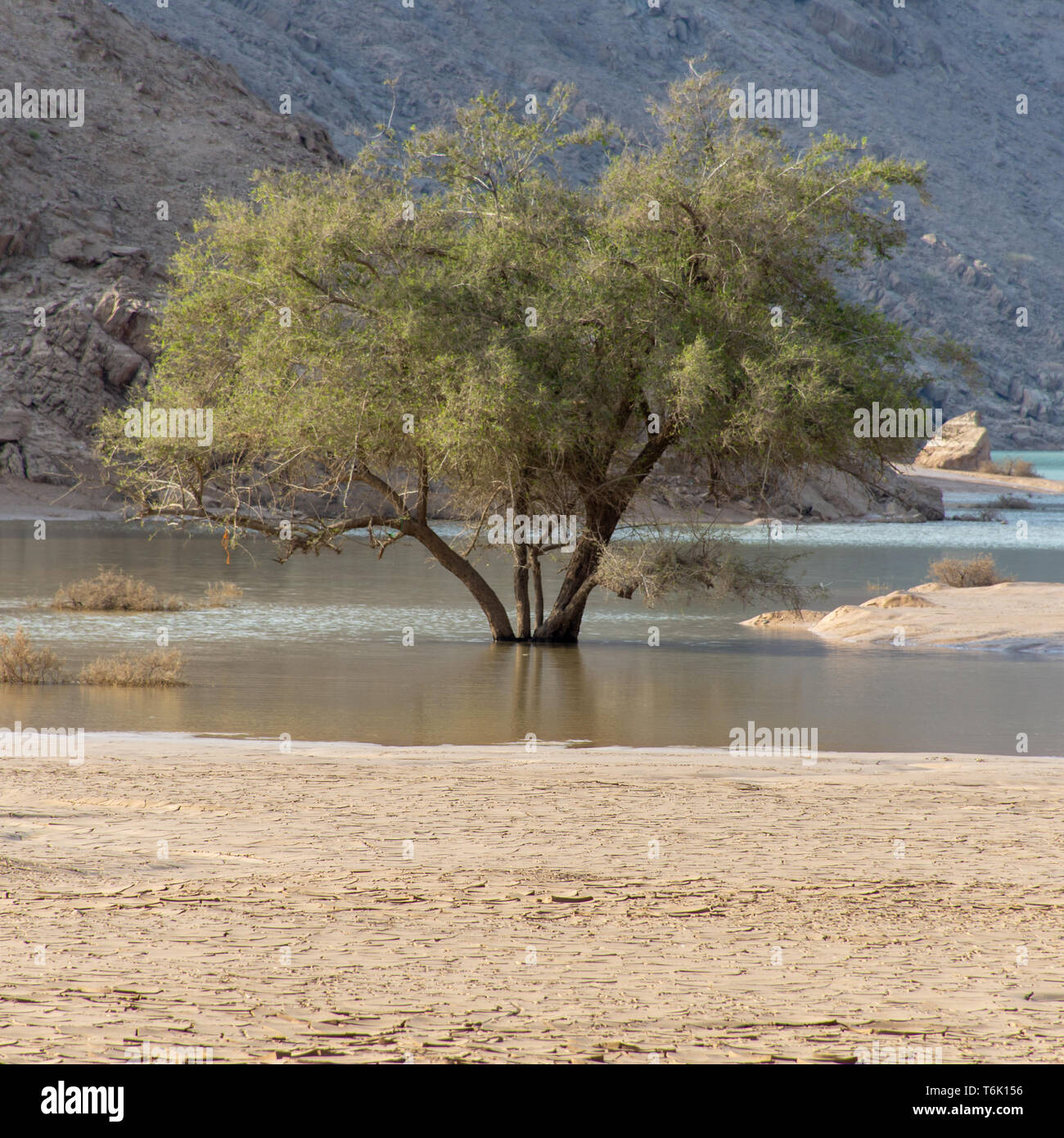 White heat uae hi-res stock photography and images - Alamy