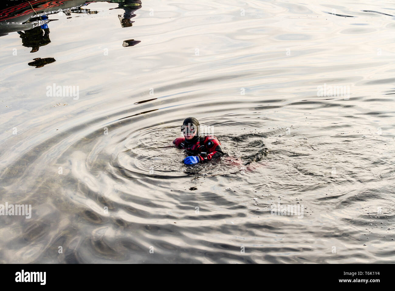 Teriberka, Russia - July 27, 2017: Scuba diver floating on the surface ...