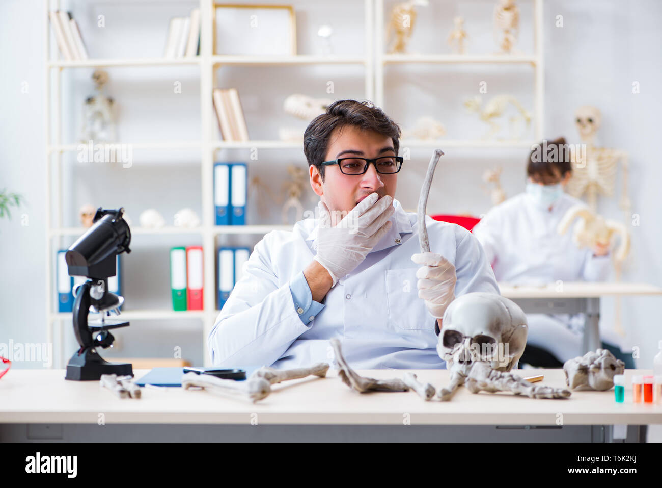 Professor studying human skeleton in lab Stock Photo - Alamy