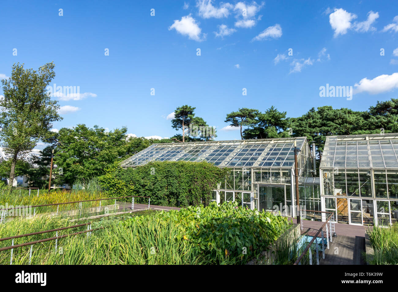 seonyudo park scenery Stock Photo - Alamy