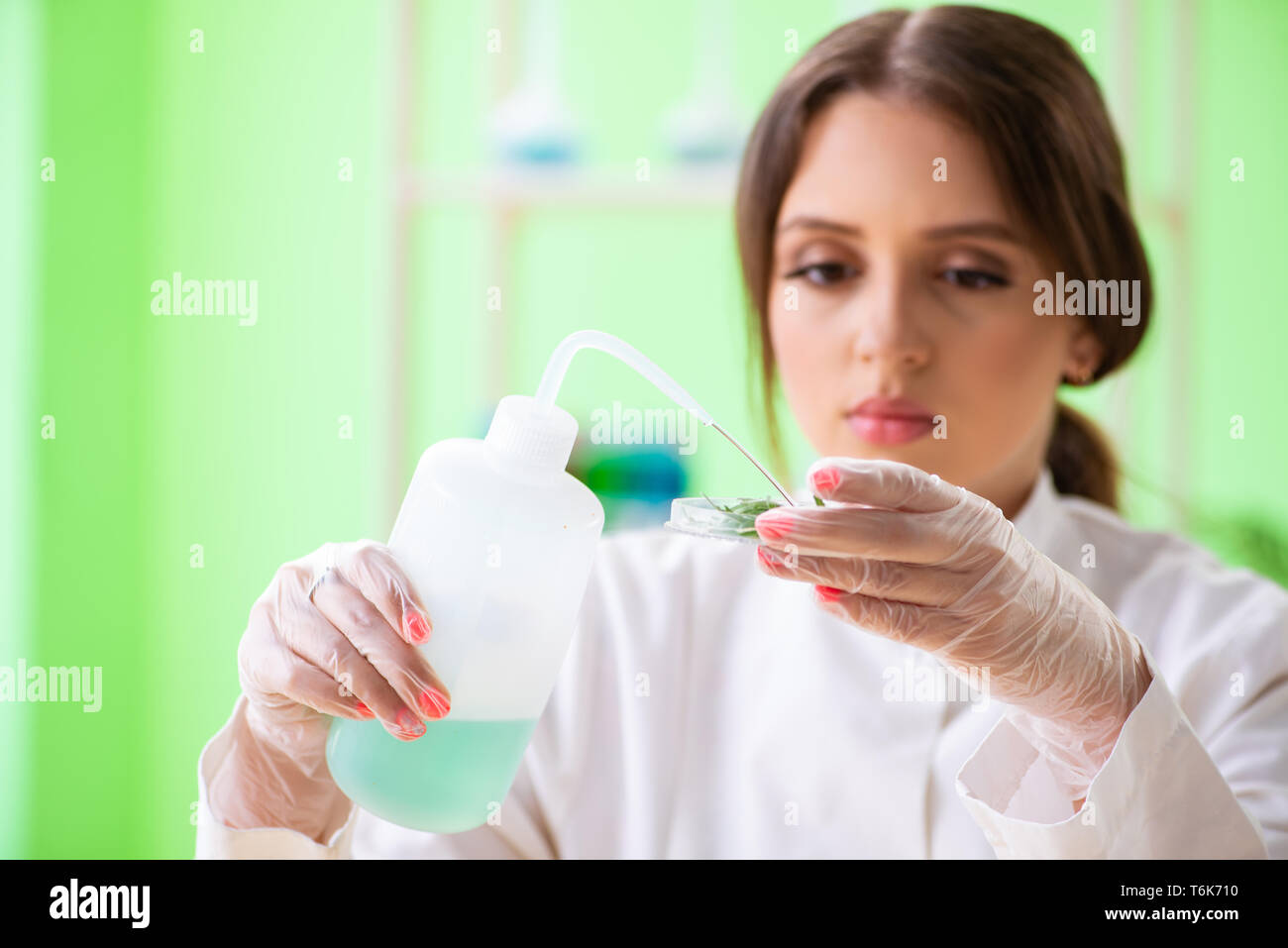 The beautiful female biotechnology scientist chemist working in lab ...