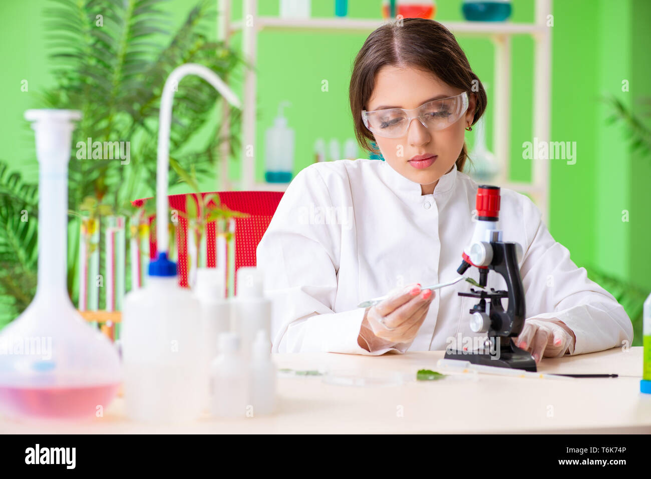 The beautiful female biotechnology scientist chemist working in lab ...