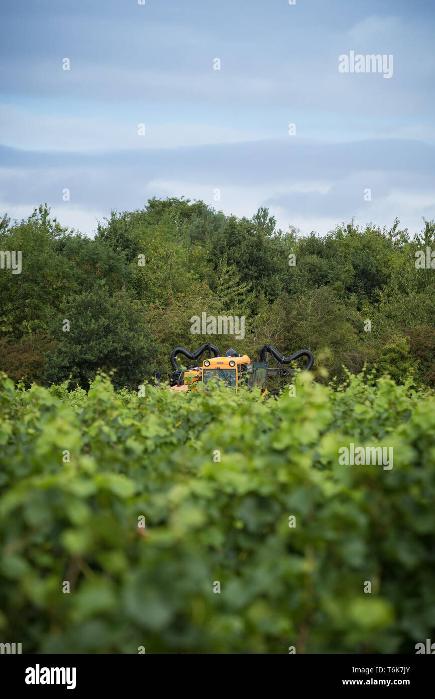 Pellenc self-propelled sprayer with a tank capacity of 2,000 litres is ...