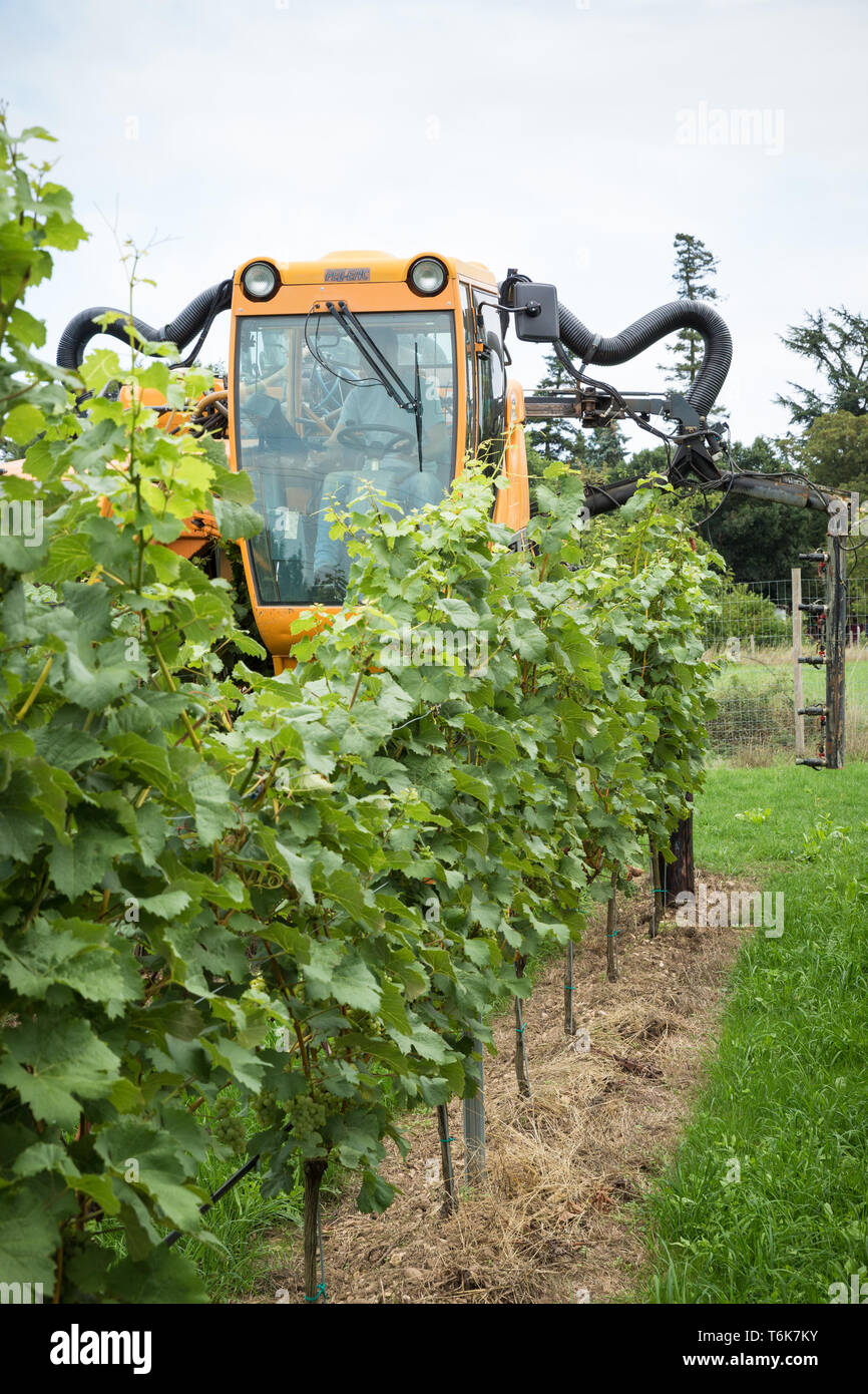 Pellenc self-propelled sprayer with a tank capacity of 2,000 litres is ...