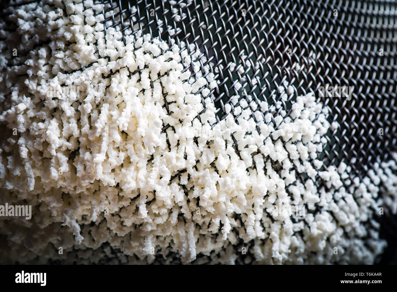 Russian farm cheese hi-res stock photography and images - Alamy