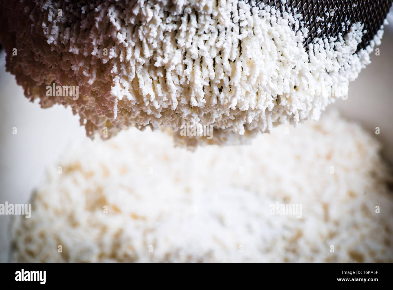 Russian farm cheese hi-res stock photography and images - Alamy
