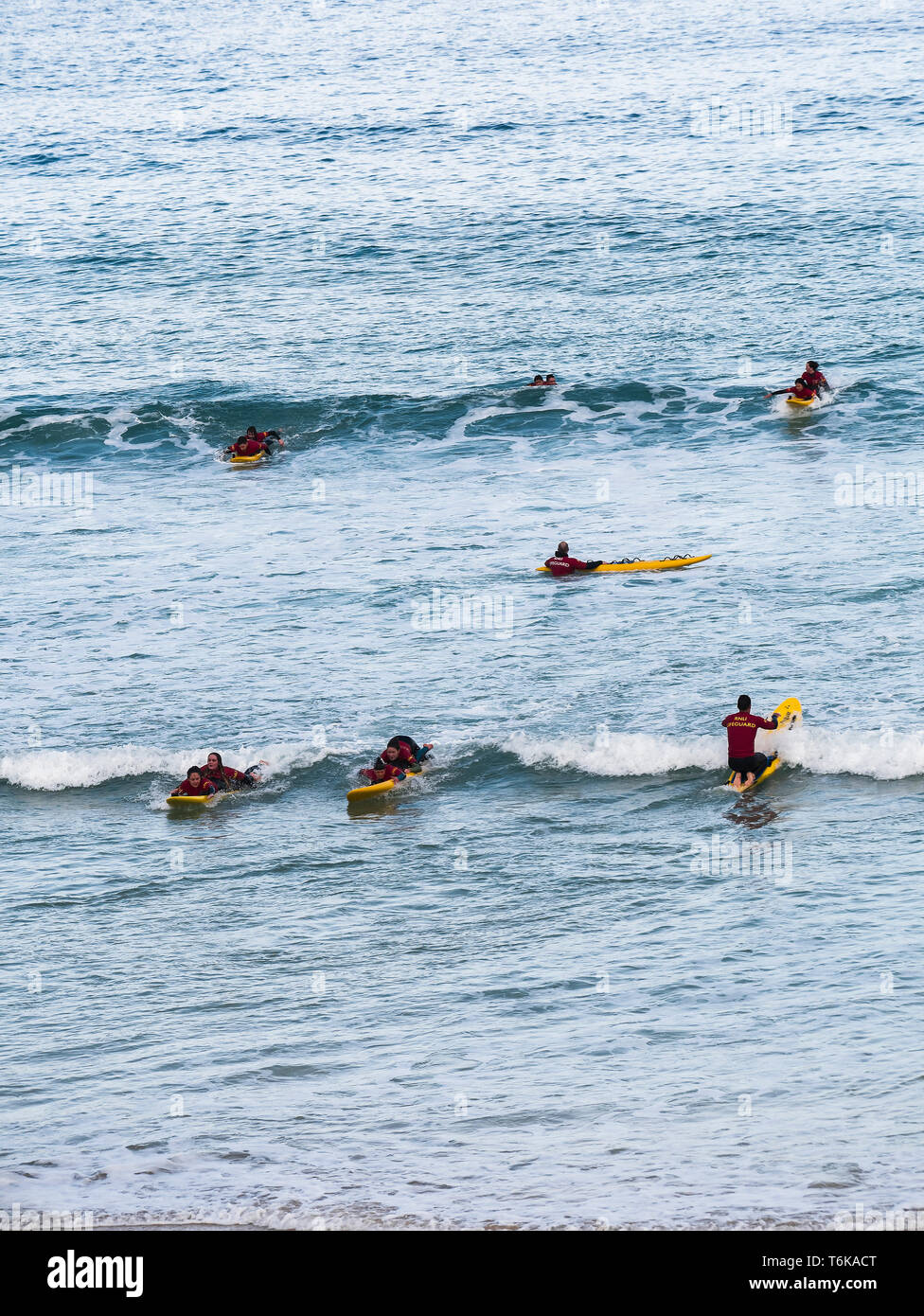 Lifeguard training on St Ives beach, Cornwall, UK Stock Photo - Alamy