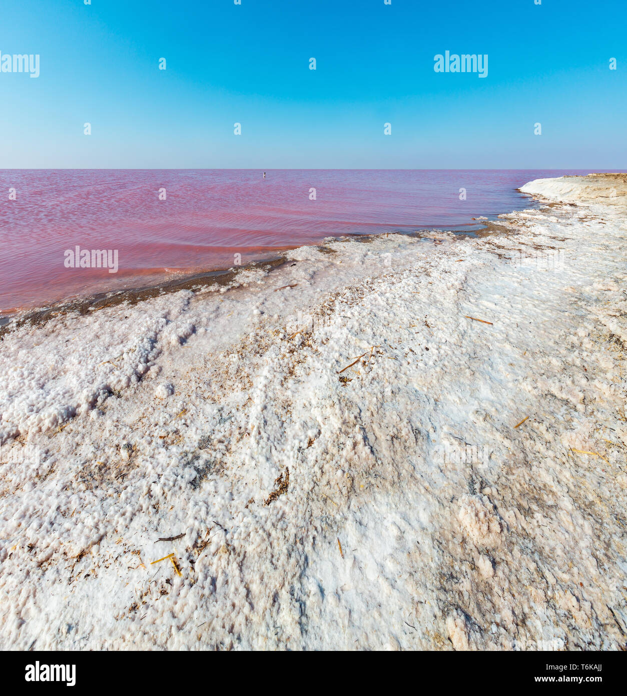 Pink salty Syvash Lake, Ukraine Stock Photo - Alamy