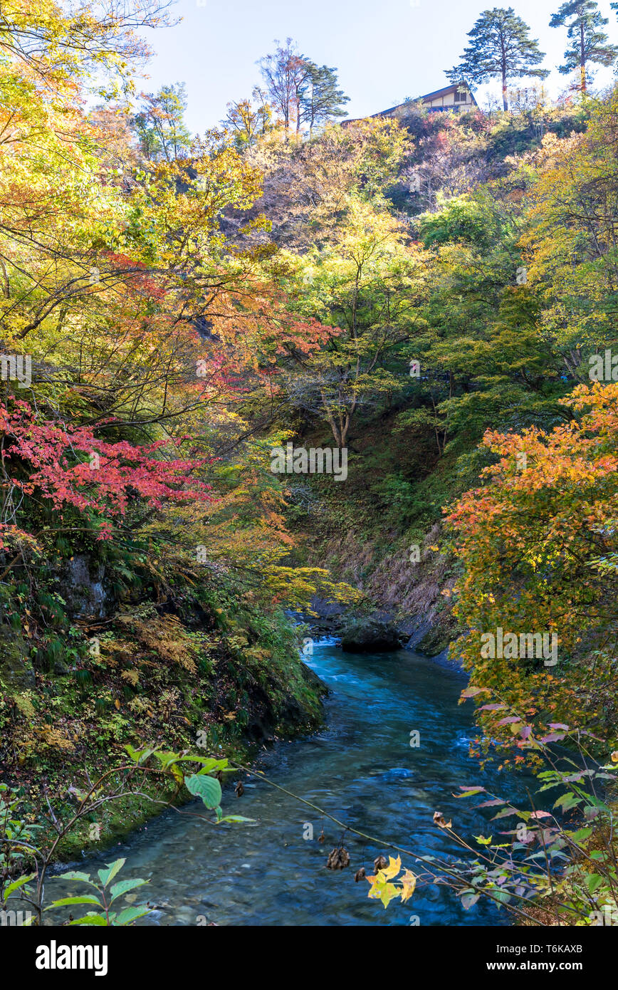 Naruko Gorge Miyagi Tohoku Japan Stock Photo - Alamy