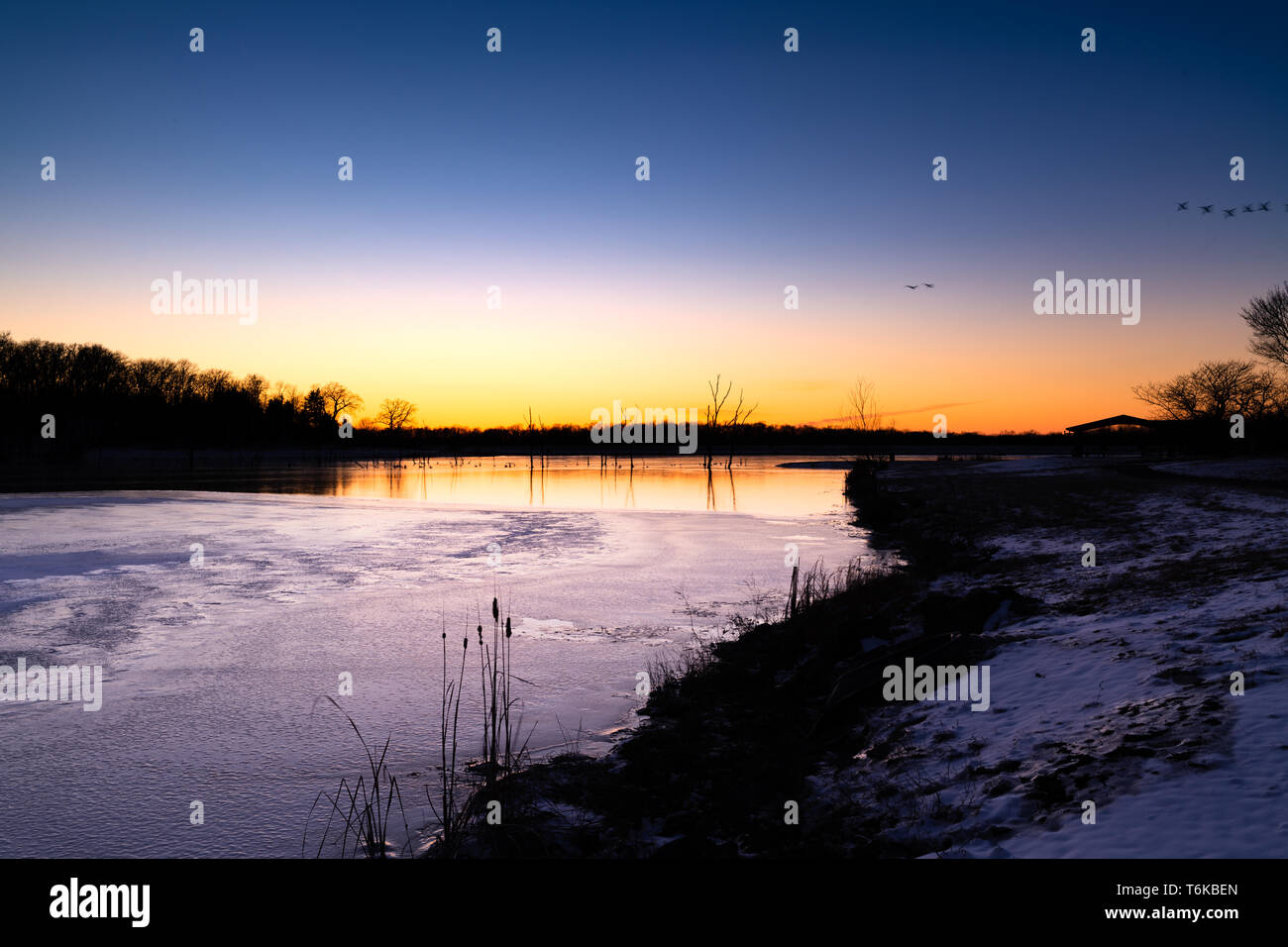 Tree overlooking pond hi-res stock photography and images - Alamy